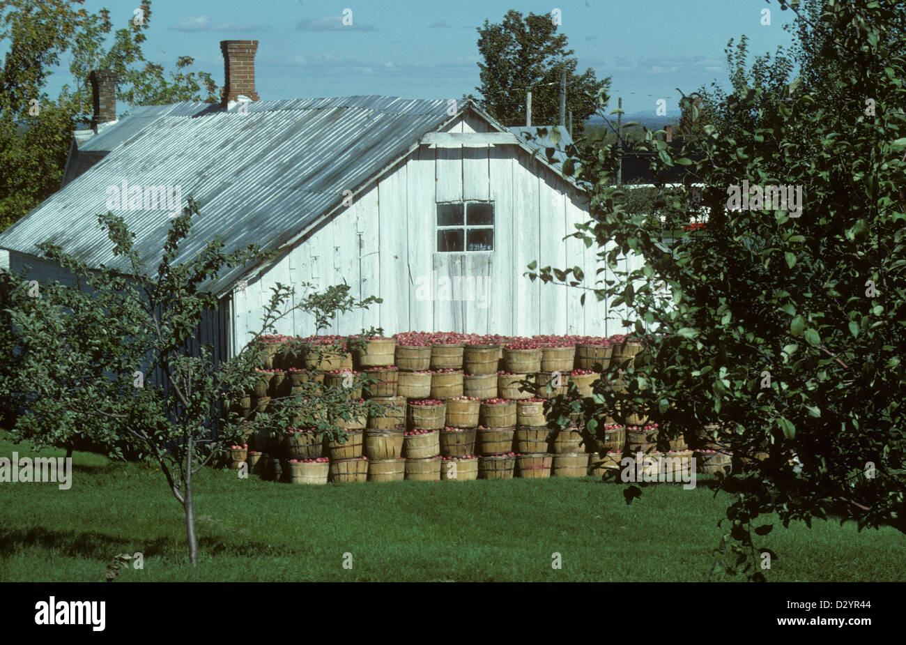 Stacked apple bins hi-res stock photography and images - Alamy