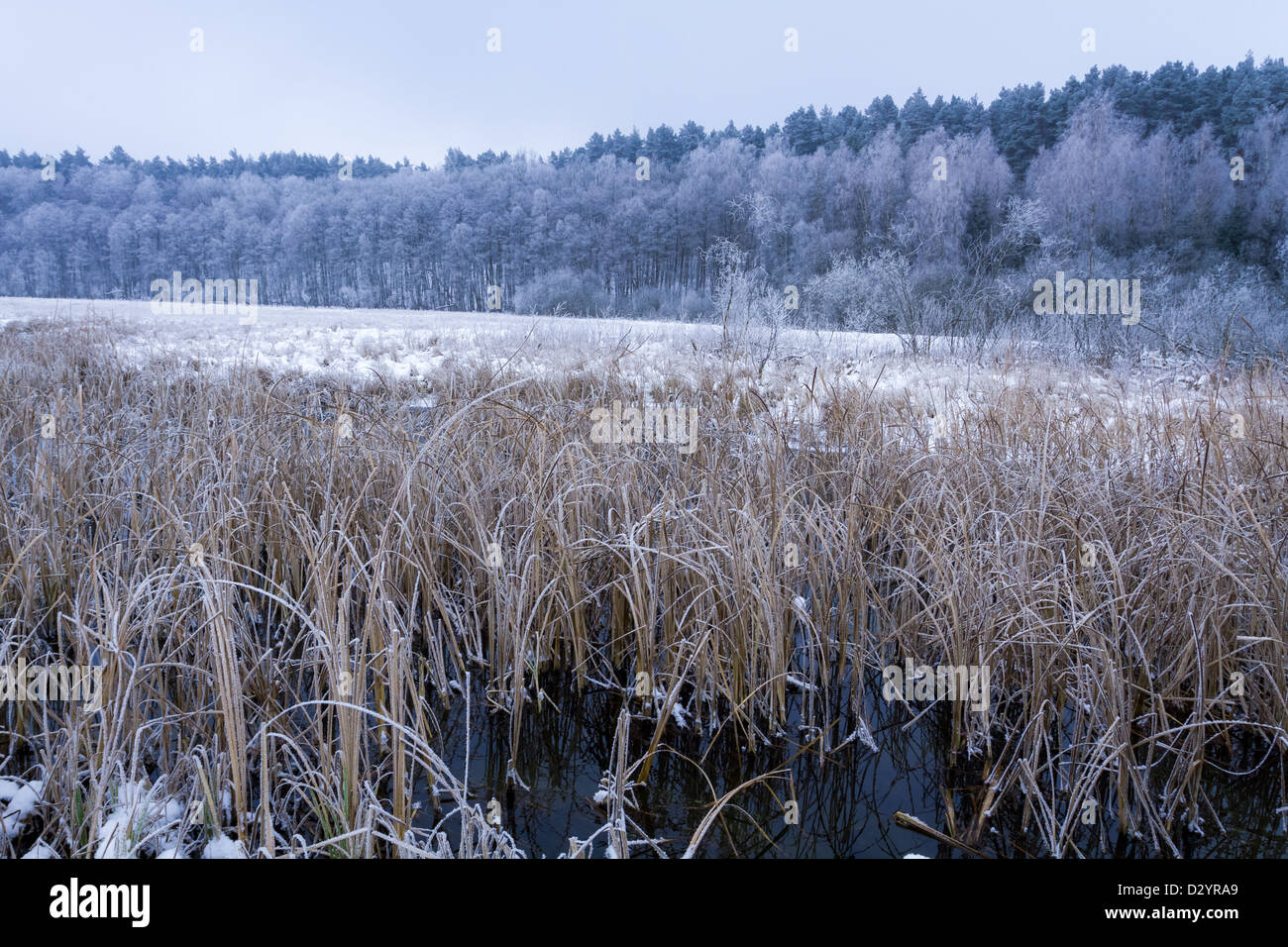 Frozen lake river hi-res stock photography and images - Alamy