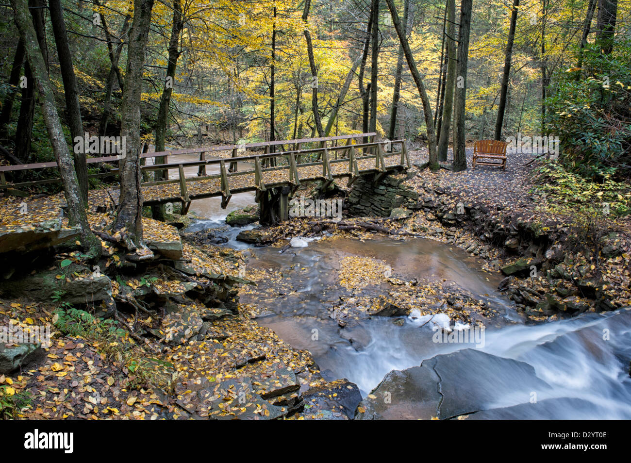 Bridge across flowing stream in fall forest, waterfall going over the ...