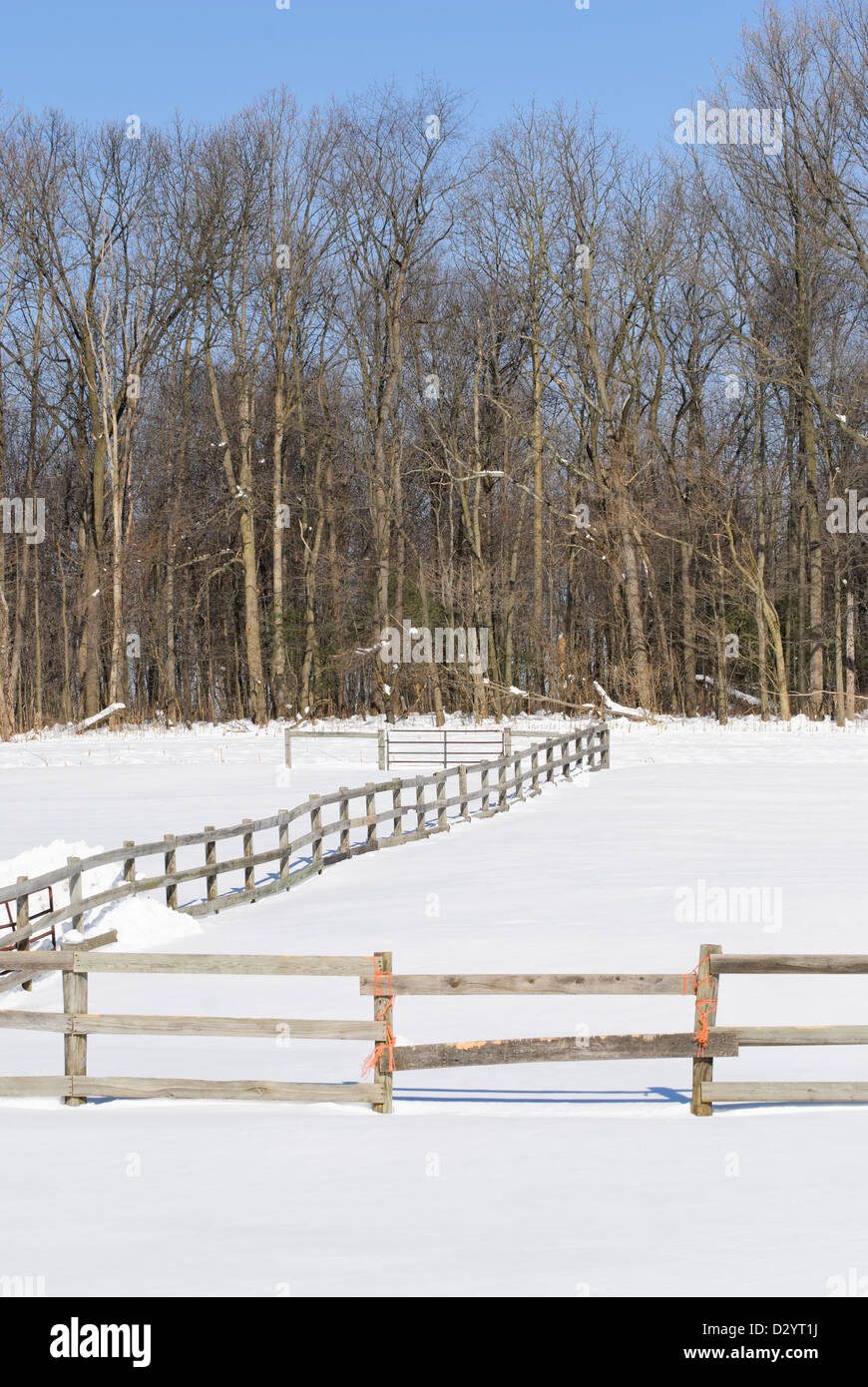 Fence in snow and sunlight in open farm land country, empty fields and ...
