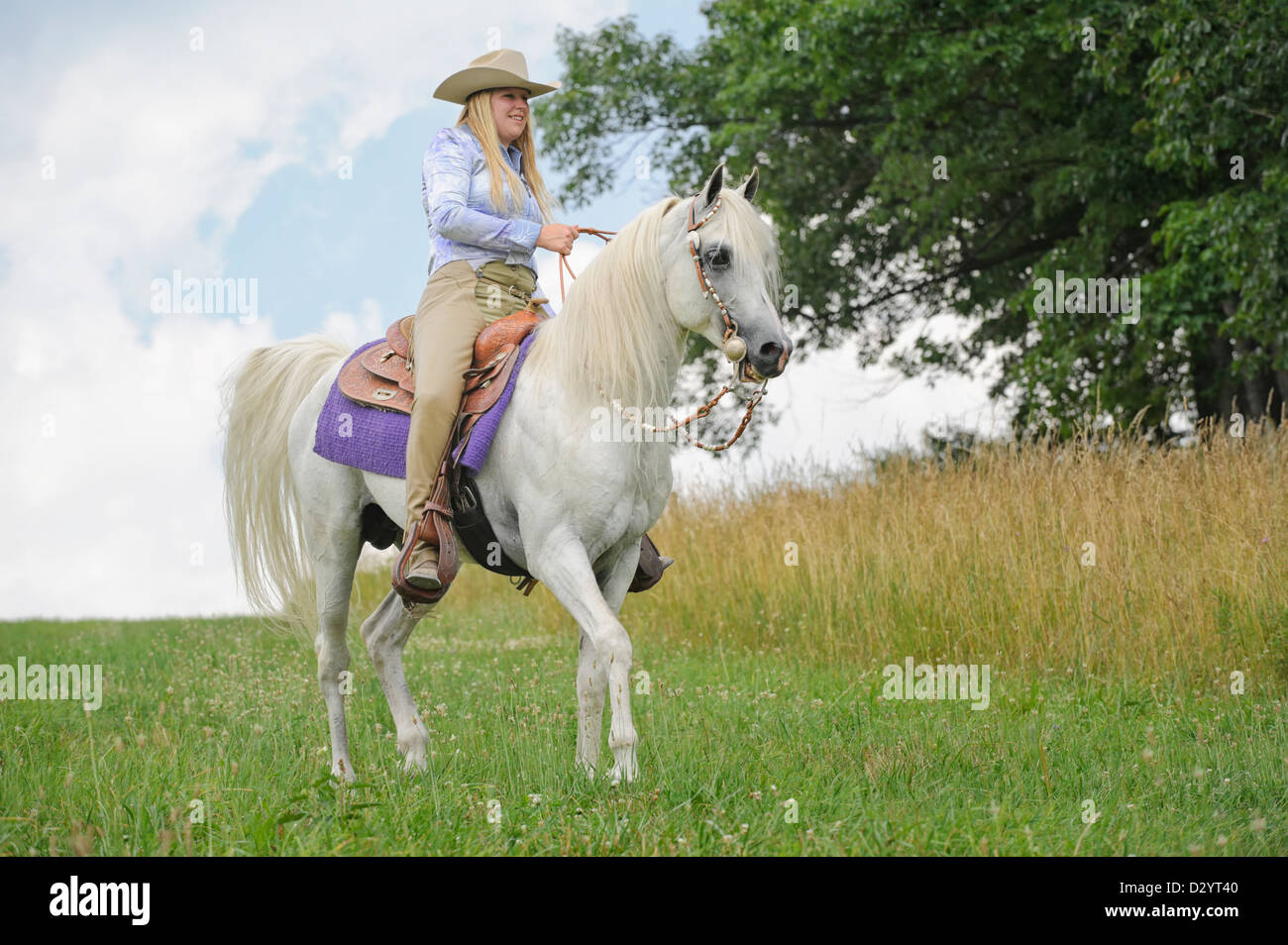 Woman horseback riding on beautiful white horse outdoors in nature and ...