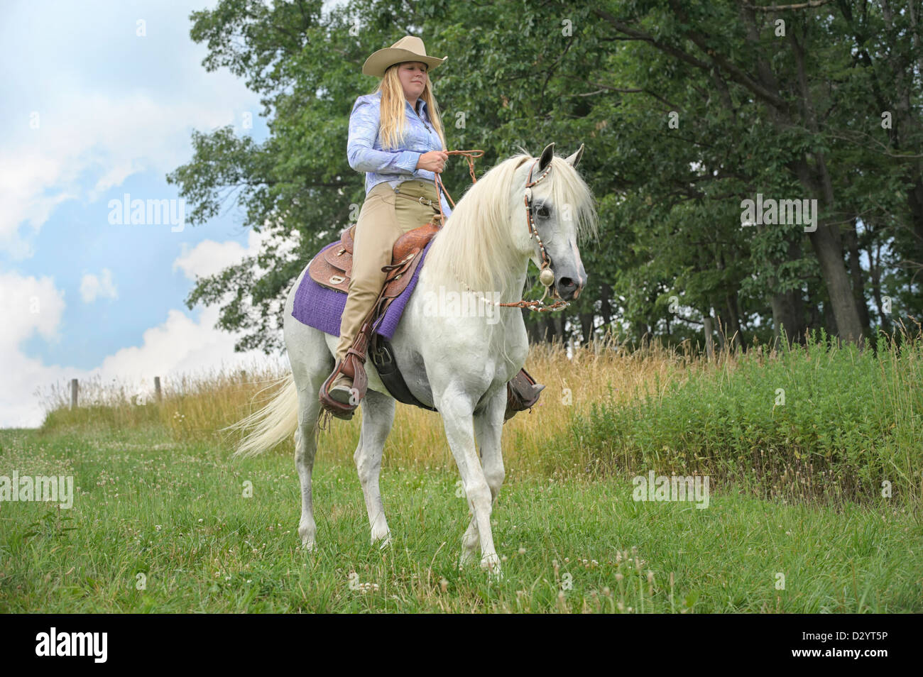 Woman horseback riding on beautiful white horse outdoors in nature and ...