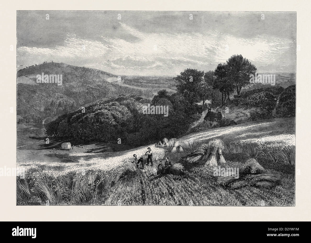 A SURREY CORNFIELD FROM THE EXHIBITION OF THE SOCIETY OF BRITISH ...