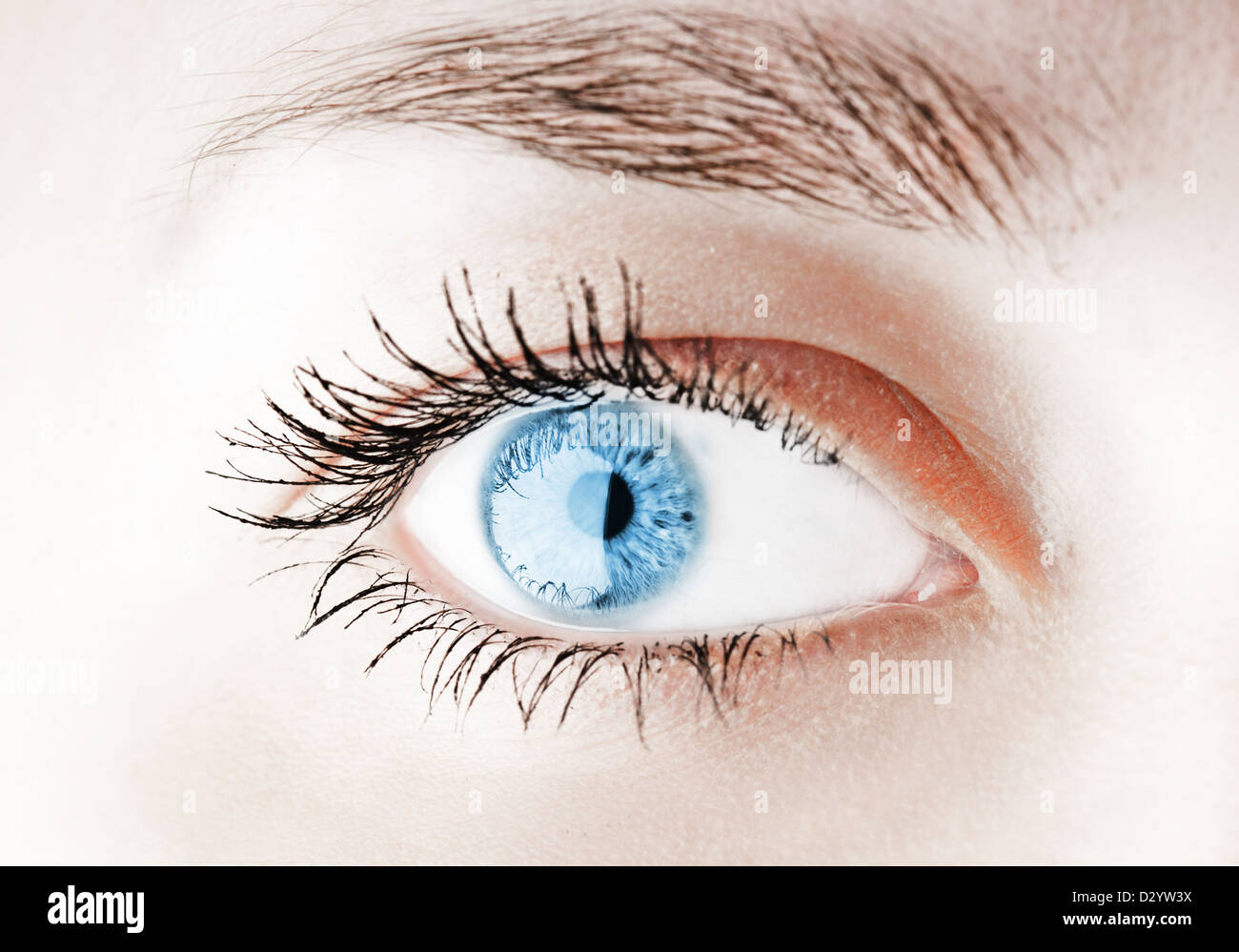 Blue human eye. macro shooting Stock Photo - Alamy