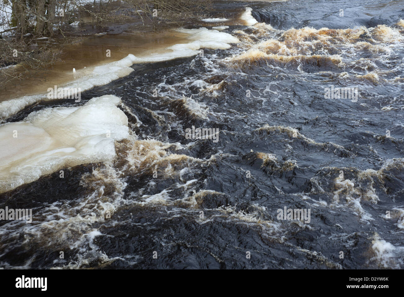Ice and running water in river Helgeå, Småland Stock Photo - Alamy