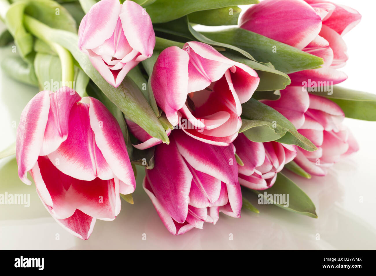 Bunch of tulips Stock Photo - Alamy