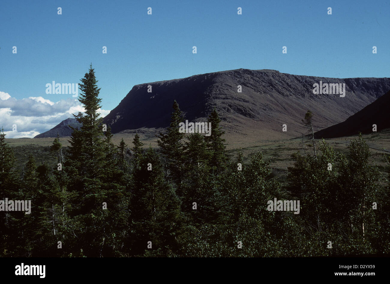 Table land (flat mountain), Gros Morne National Park, Newfoundland ...