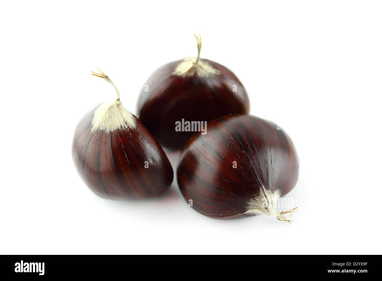 Sweet chestnuts on white background Stock Photo - Alamy
