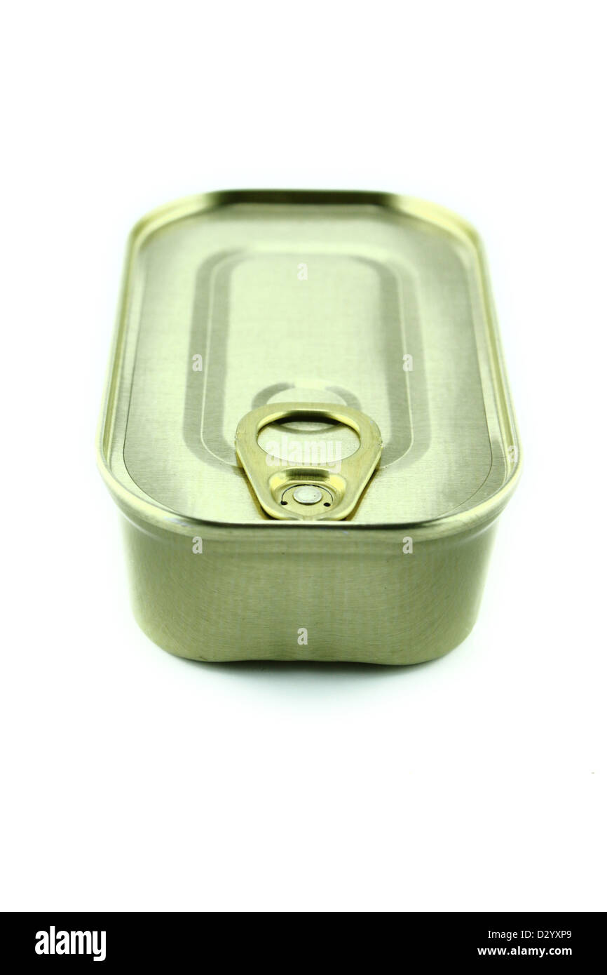 Closed sardine can on white background Stock Photo - Alamy