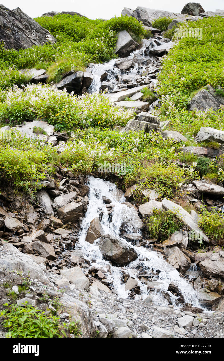 Waterfall on a mountain slope covered by plants with flowers Stock ...