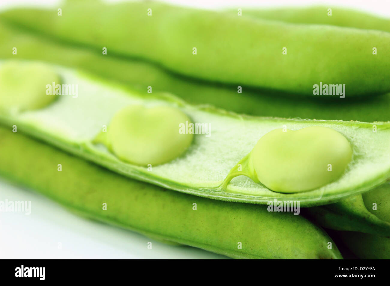closeup of broad bean pods and beans Stock Photo - Alamy