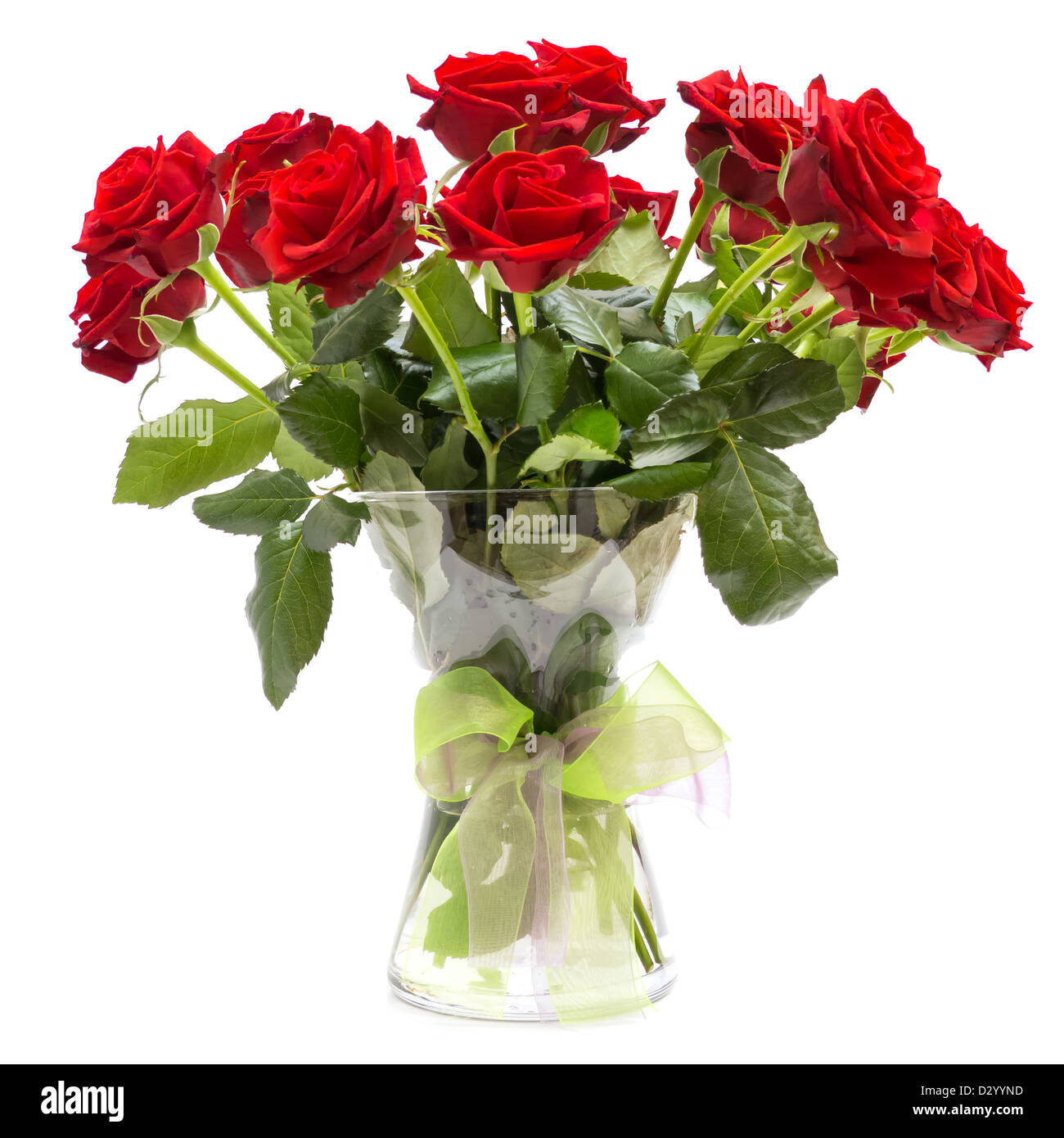 Roses square vase hi-res stock photography and images - Alamy
