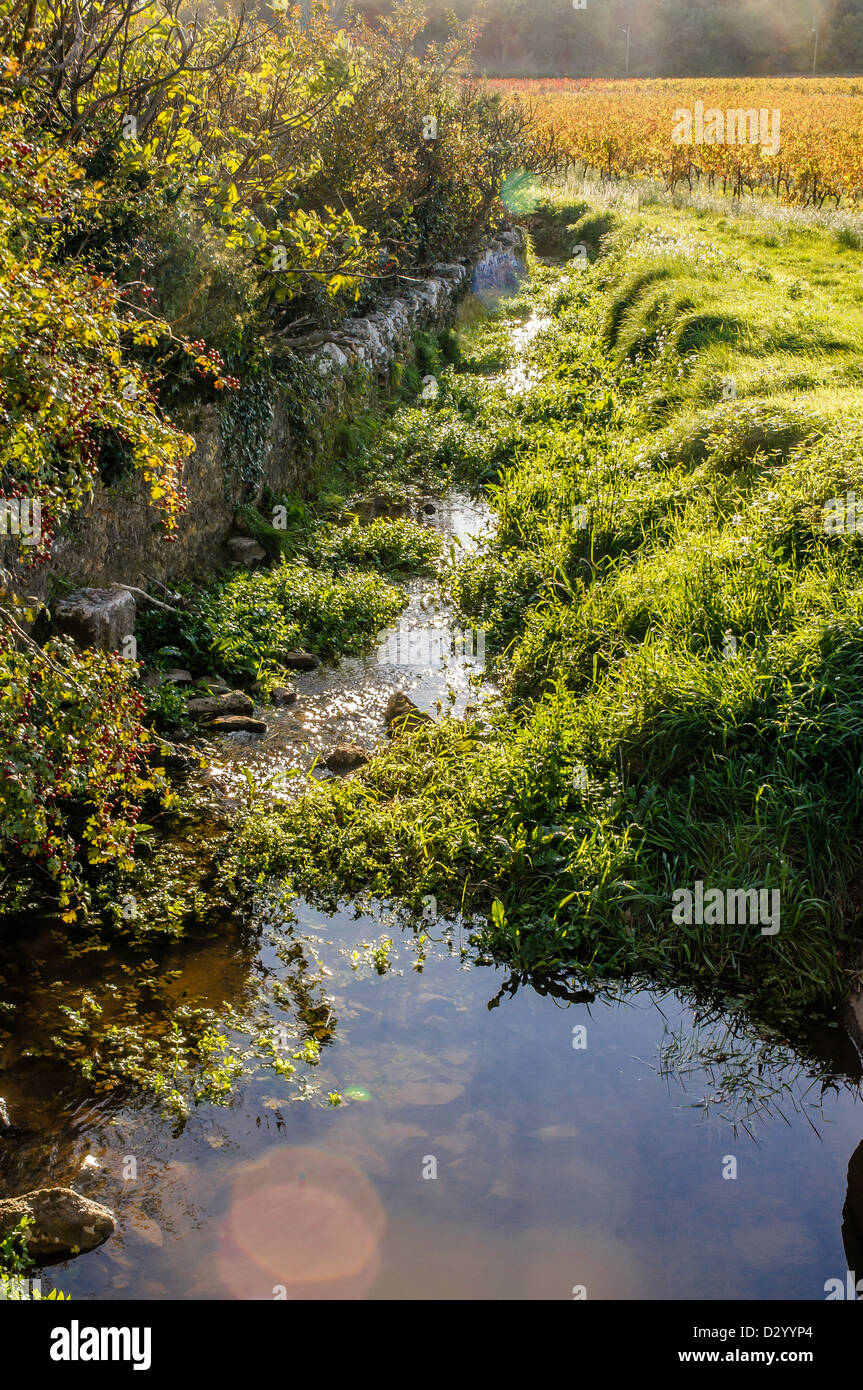 A little stream in middle of the fields in Provence, south of France ...