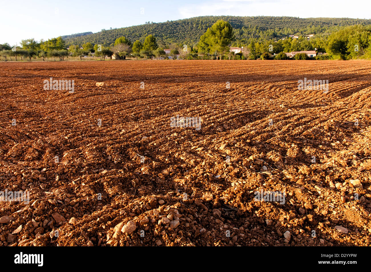 Brignoles vineyard hi-res stock photography and images - Alamy