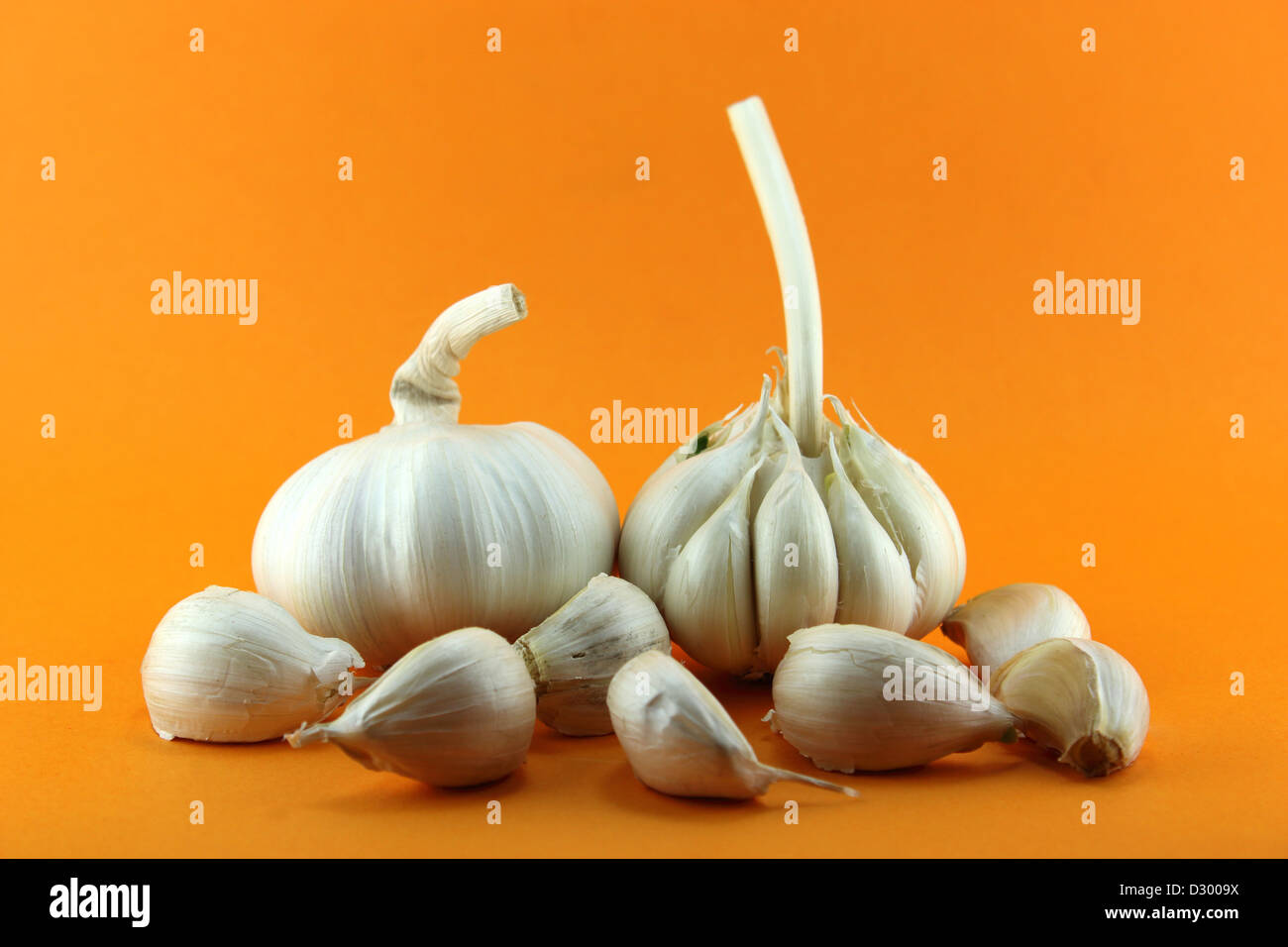 Garlic and garlic bulb on orange background Stock Photo - Alamy