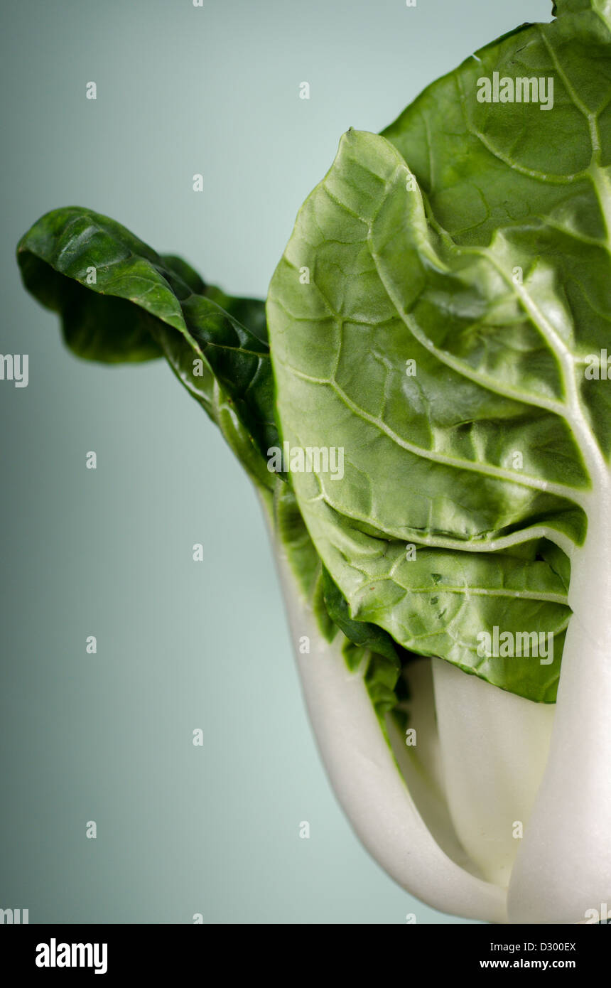 Baby pak choi hi-res stock photography and images - Alamy