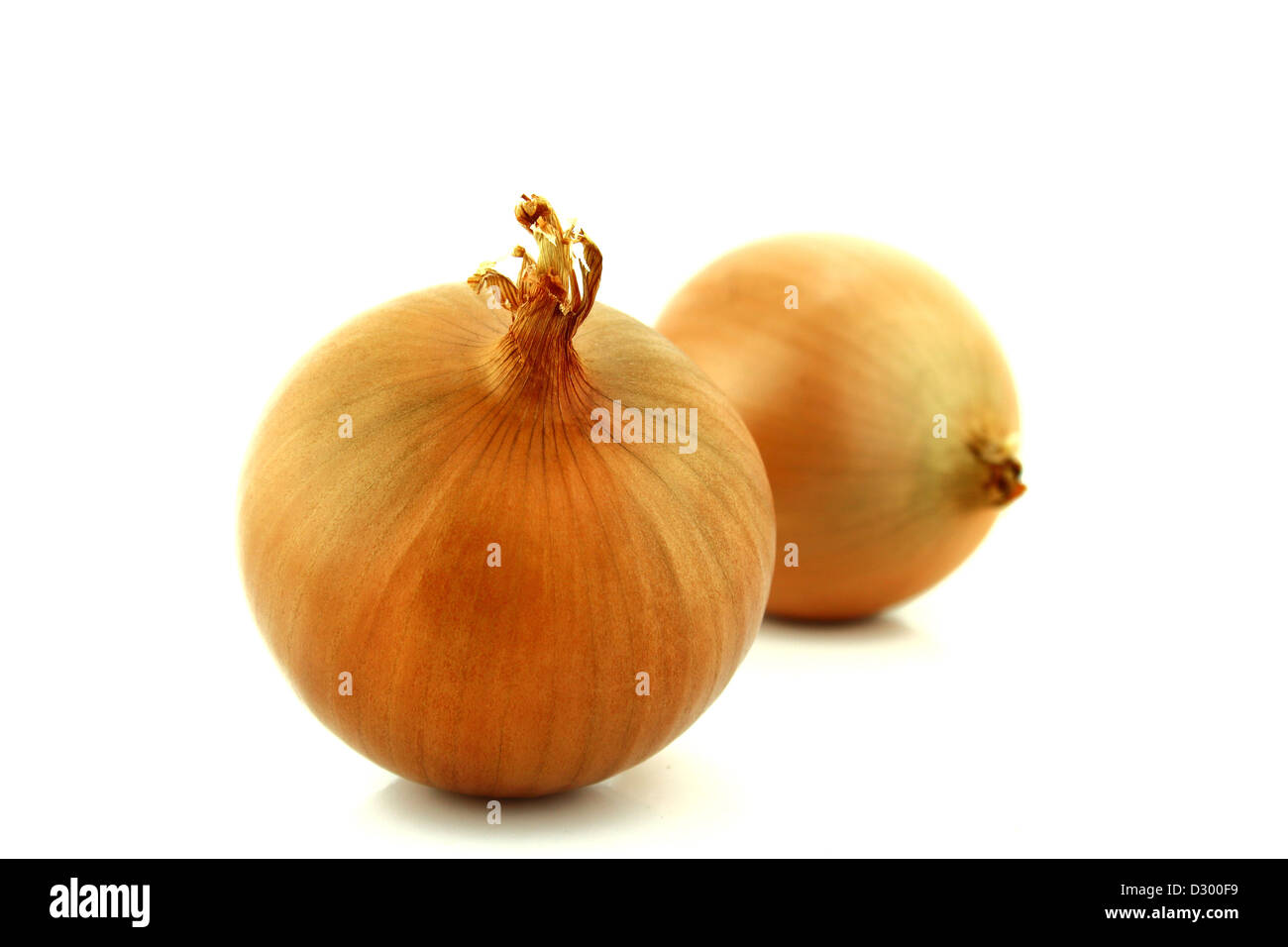 Ripe golden onions on white background Stock Photo - Alamy
