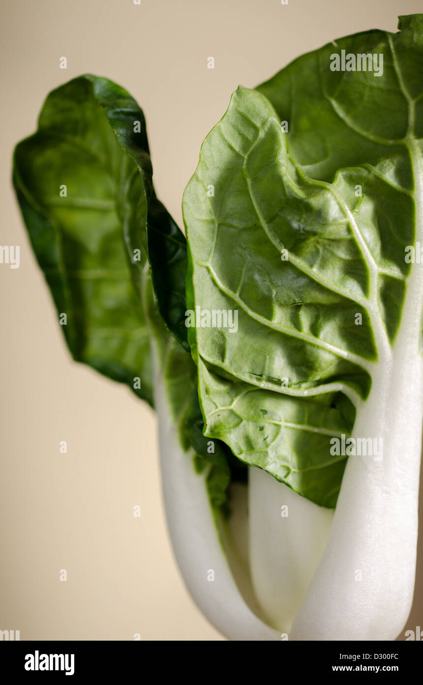 Pak choi leaves hi-res stock photography and images - Alamy