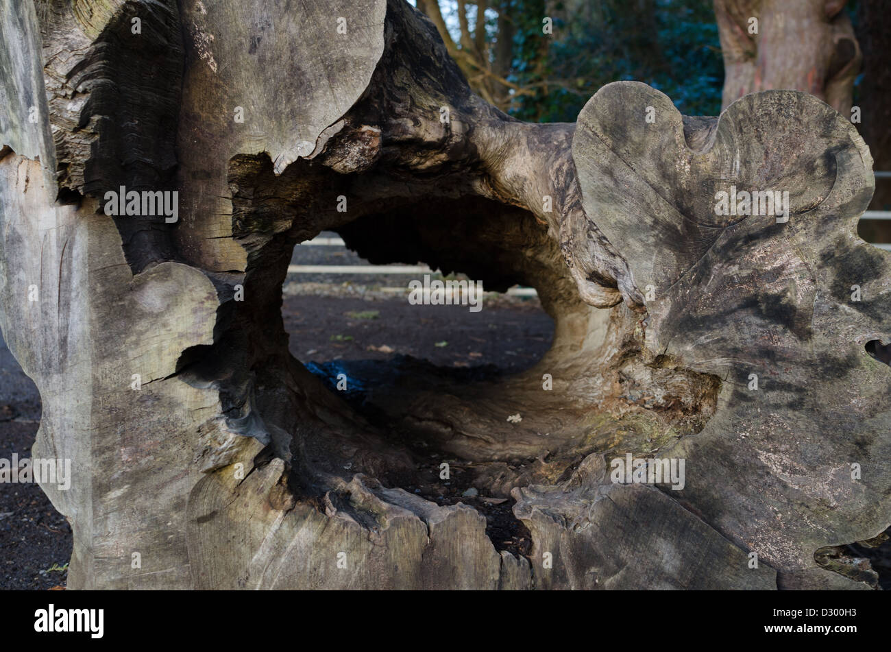 castletown house, celbridge, kildare,ireland Stock Photo - Alamy