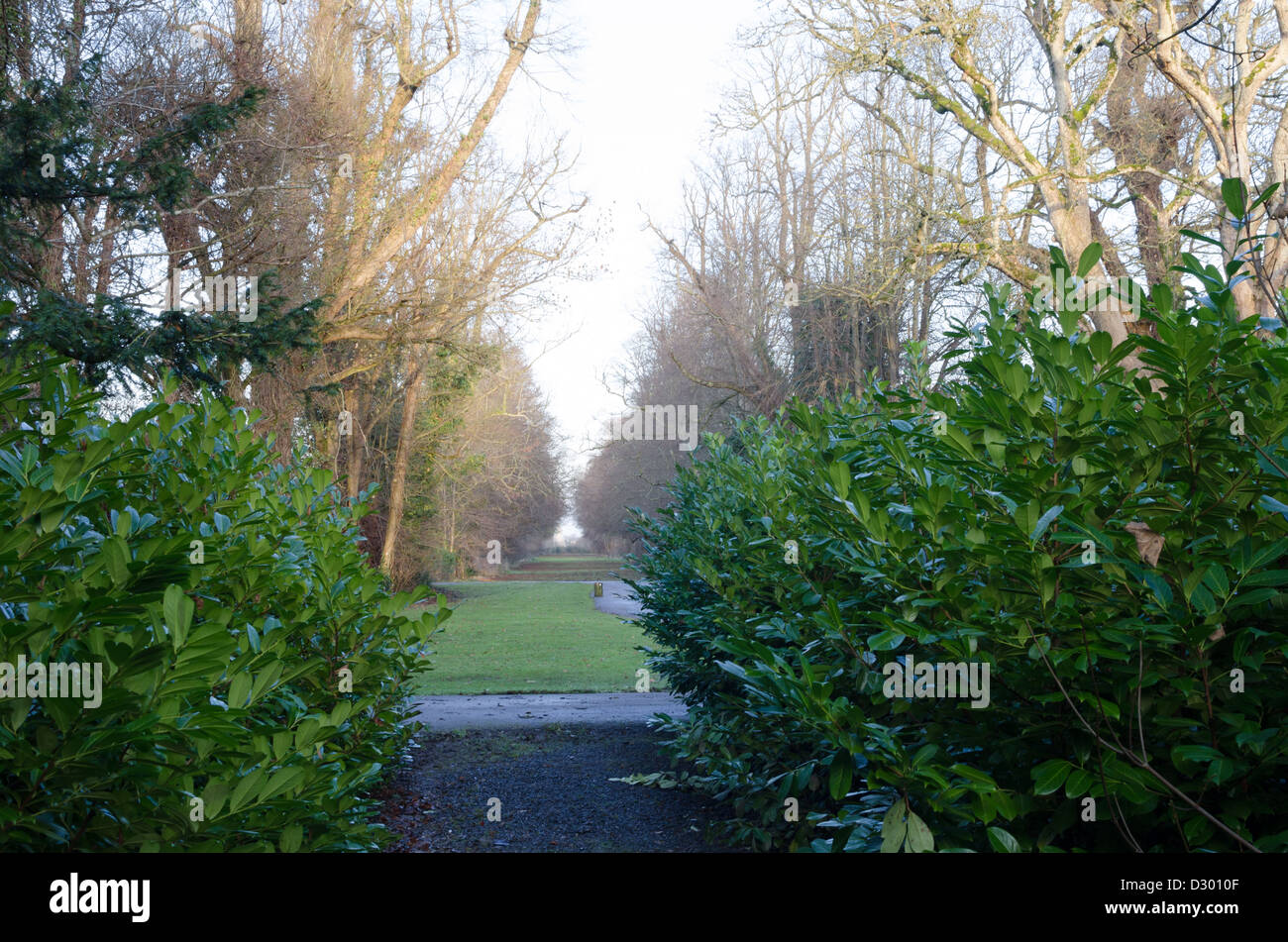 castletown house, celbridge, kildare,ireland Stock Photo - Alamy