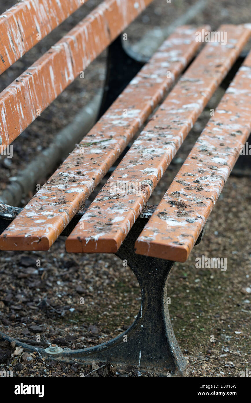 Bird droppings on bench Stock Photo - Alamy