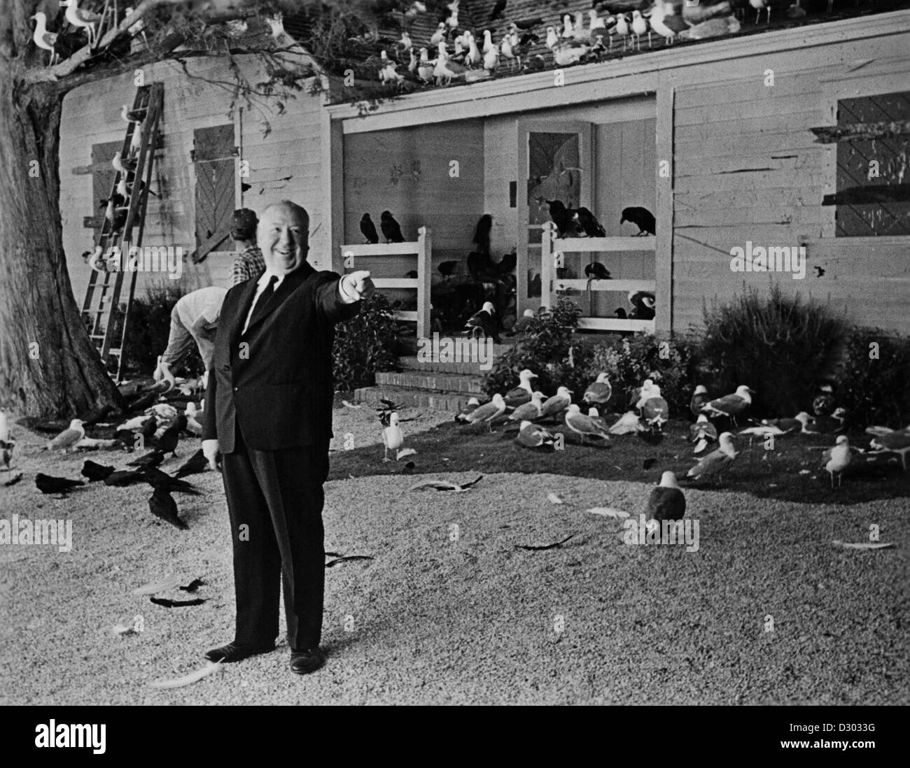 Hitchcock birds 1963 Black and White Stock Photos & Images - Alamy