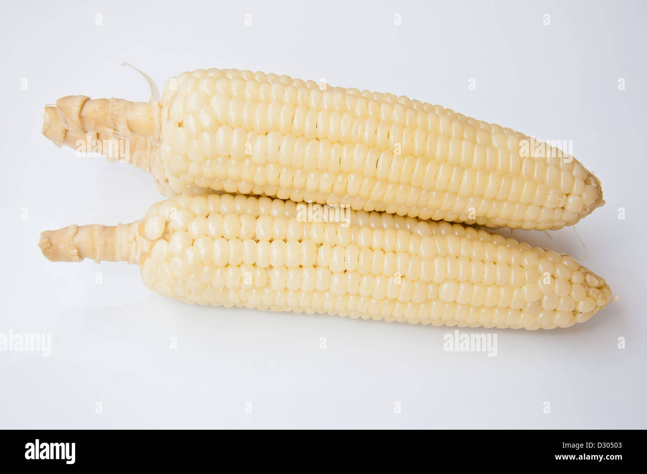 boiled corn on white background Stock Photo - Alamy