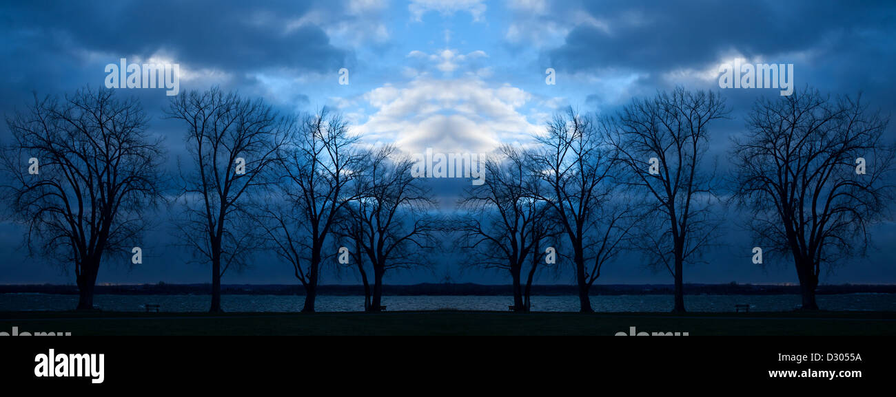 silhouette of trees at nightfall Stock Photo - Alamy