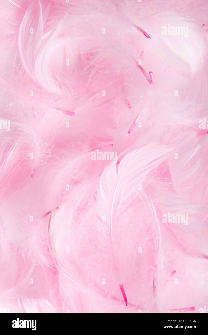 pink feathers background Stock Photo - Alamy
