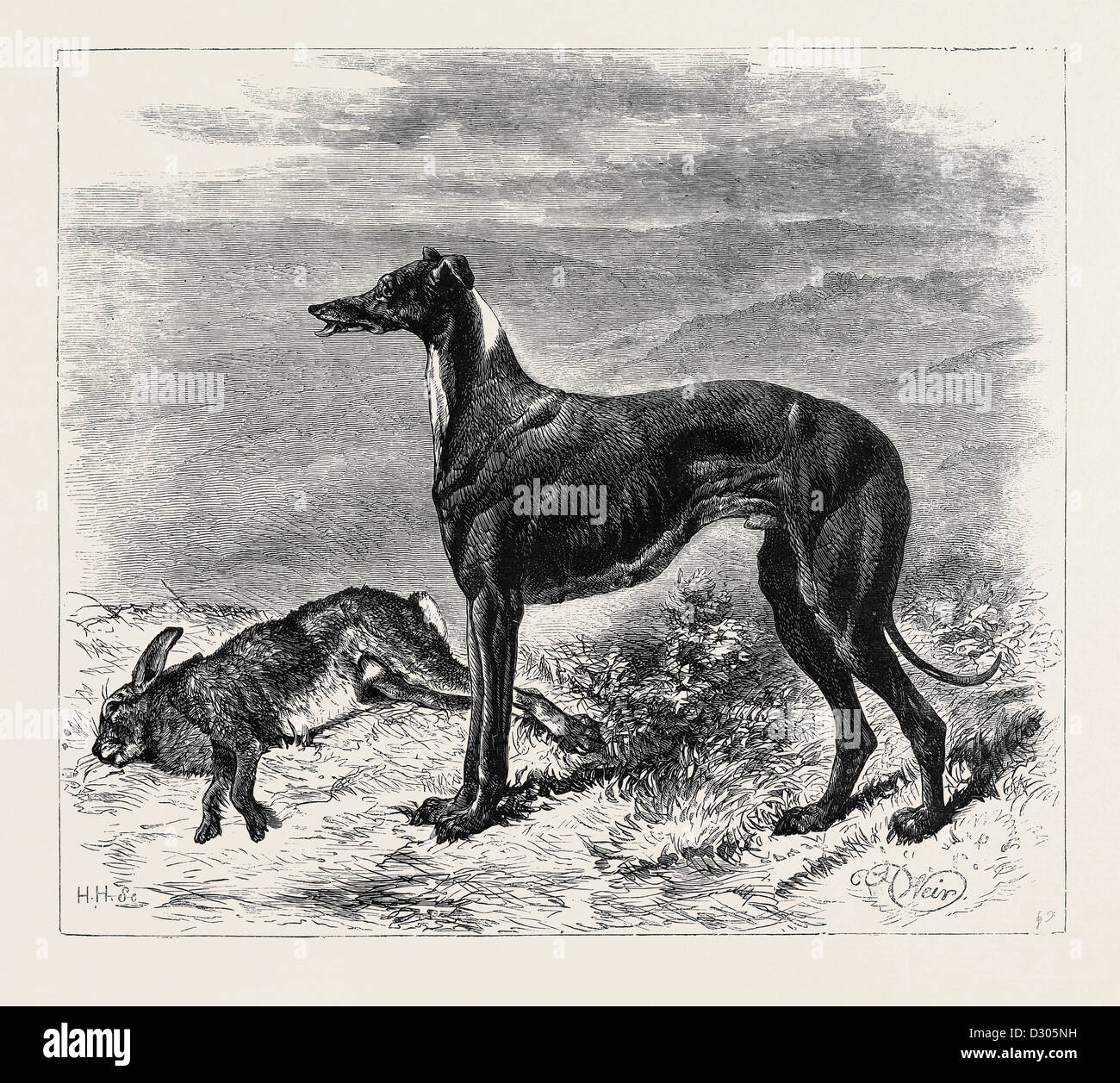 Coursing Stock Photos & Coursing Stock Images - Alamy