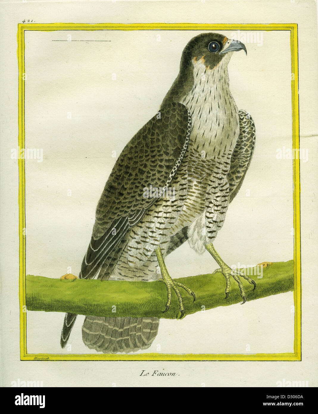 George and falcon hi-res stock photography and images - Alamy