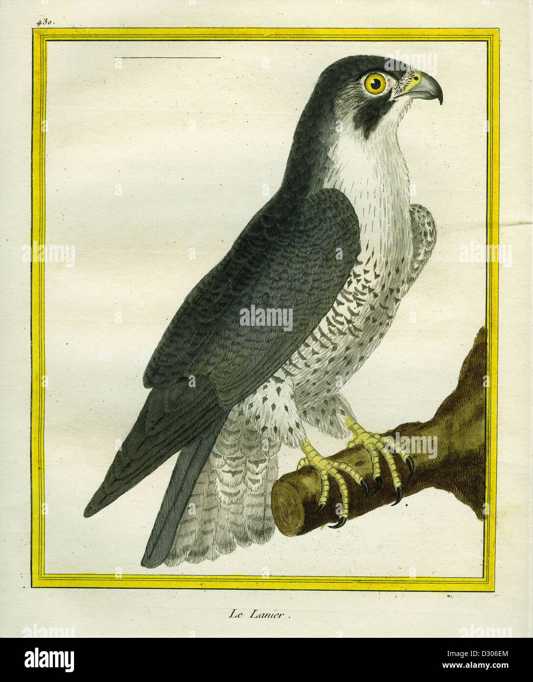 Louis falco hi-res stock photography and images - Alamy