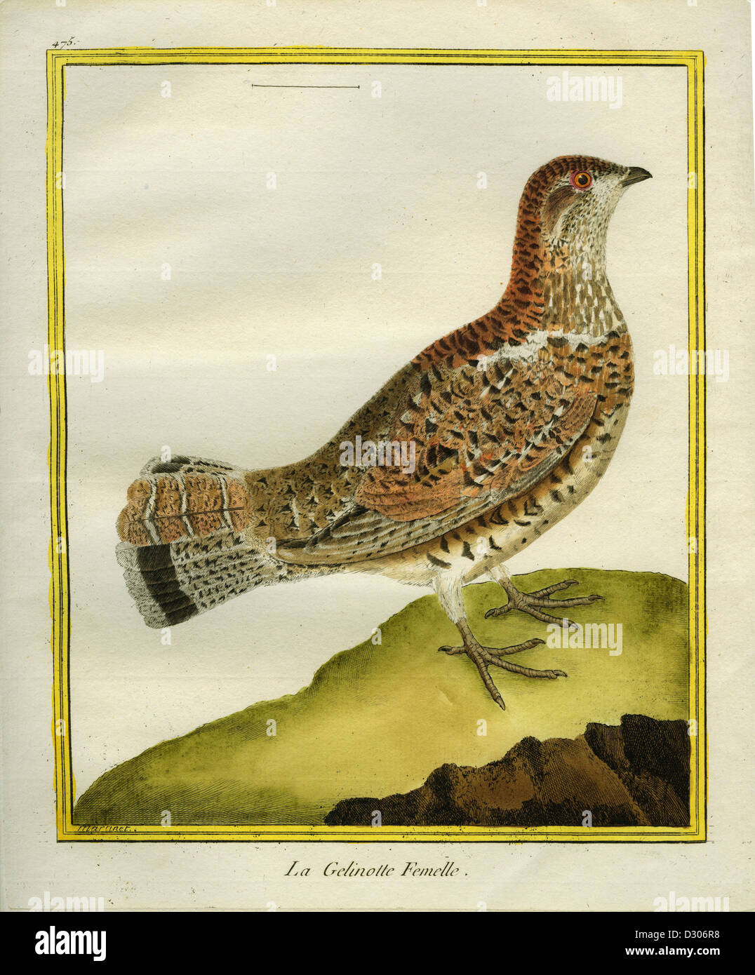 Enlightenment female hi-res stock photography and images - Alamy