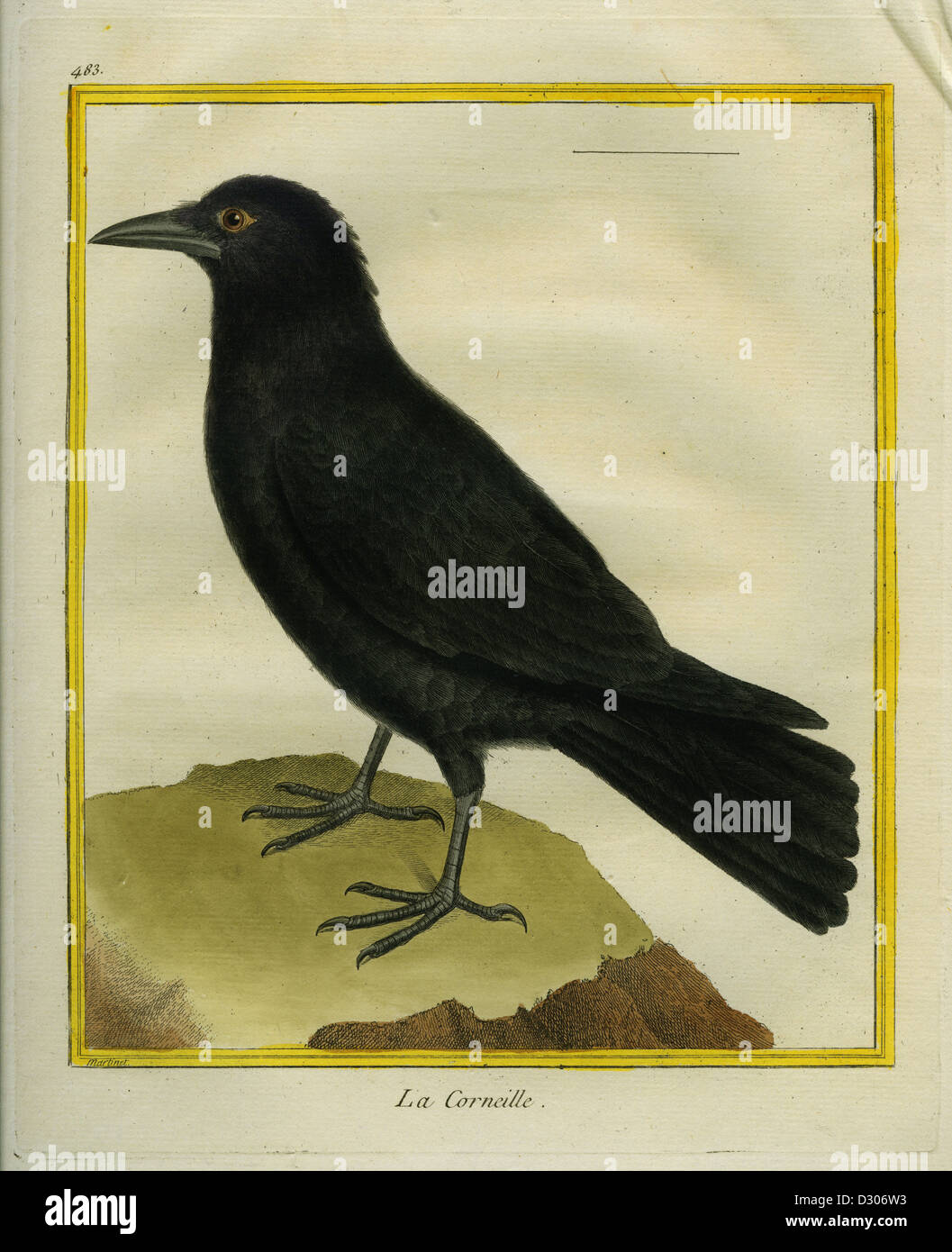 George crow hi-res stock photography and images - Alamy