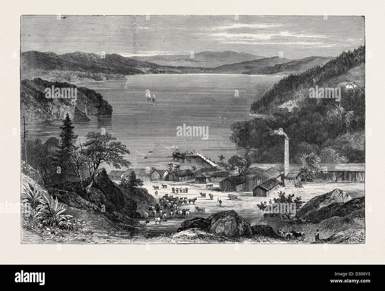 AUSTRALIAN MEAT CURING ESTABLISHMENT, LAKE BROADWATER, 1870 Stock Photo ...