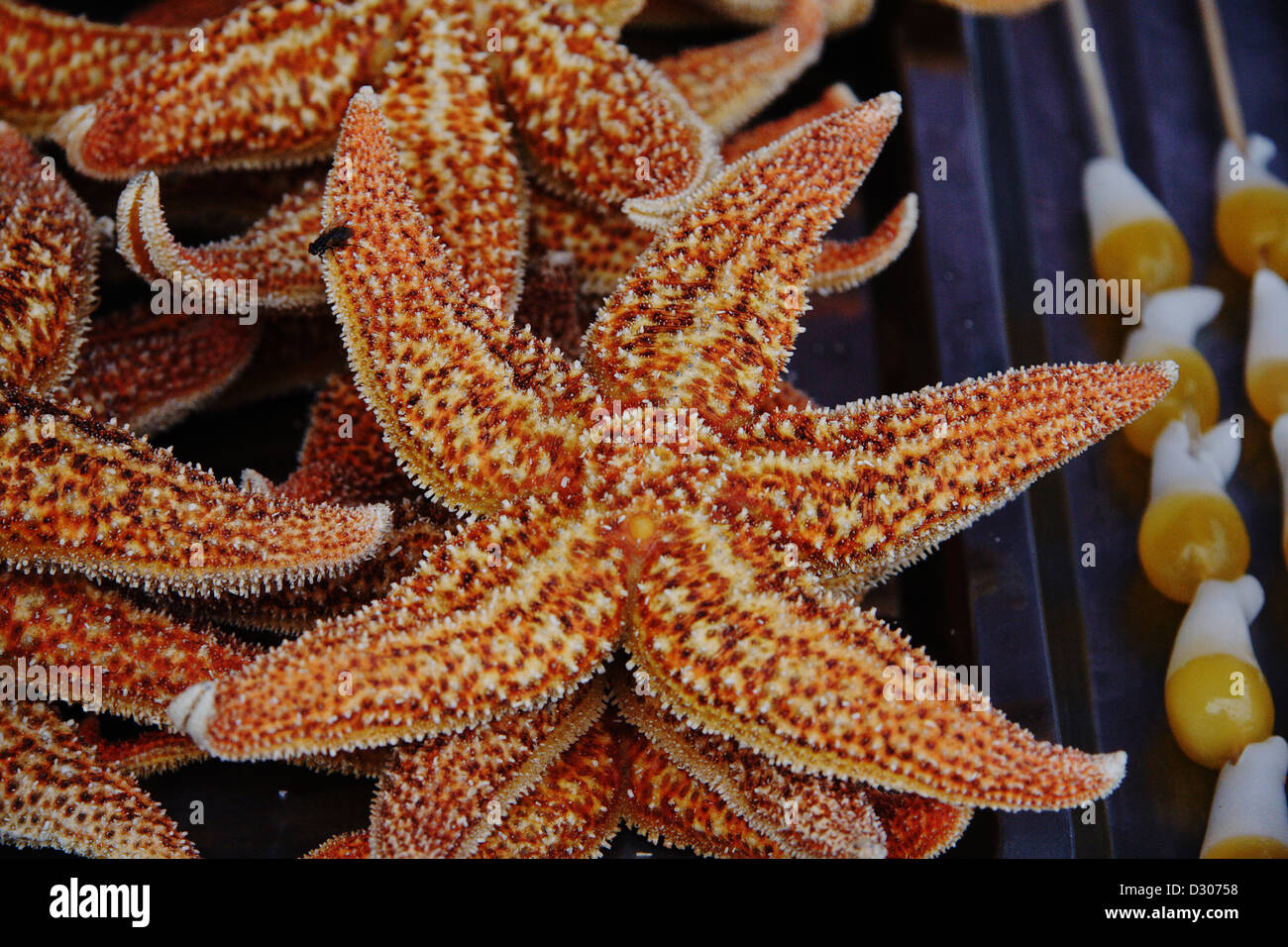 Chinese starfish hi-res stock photography and images - Alamy