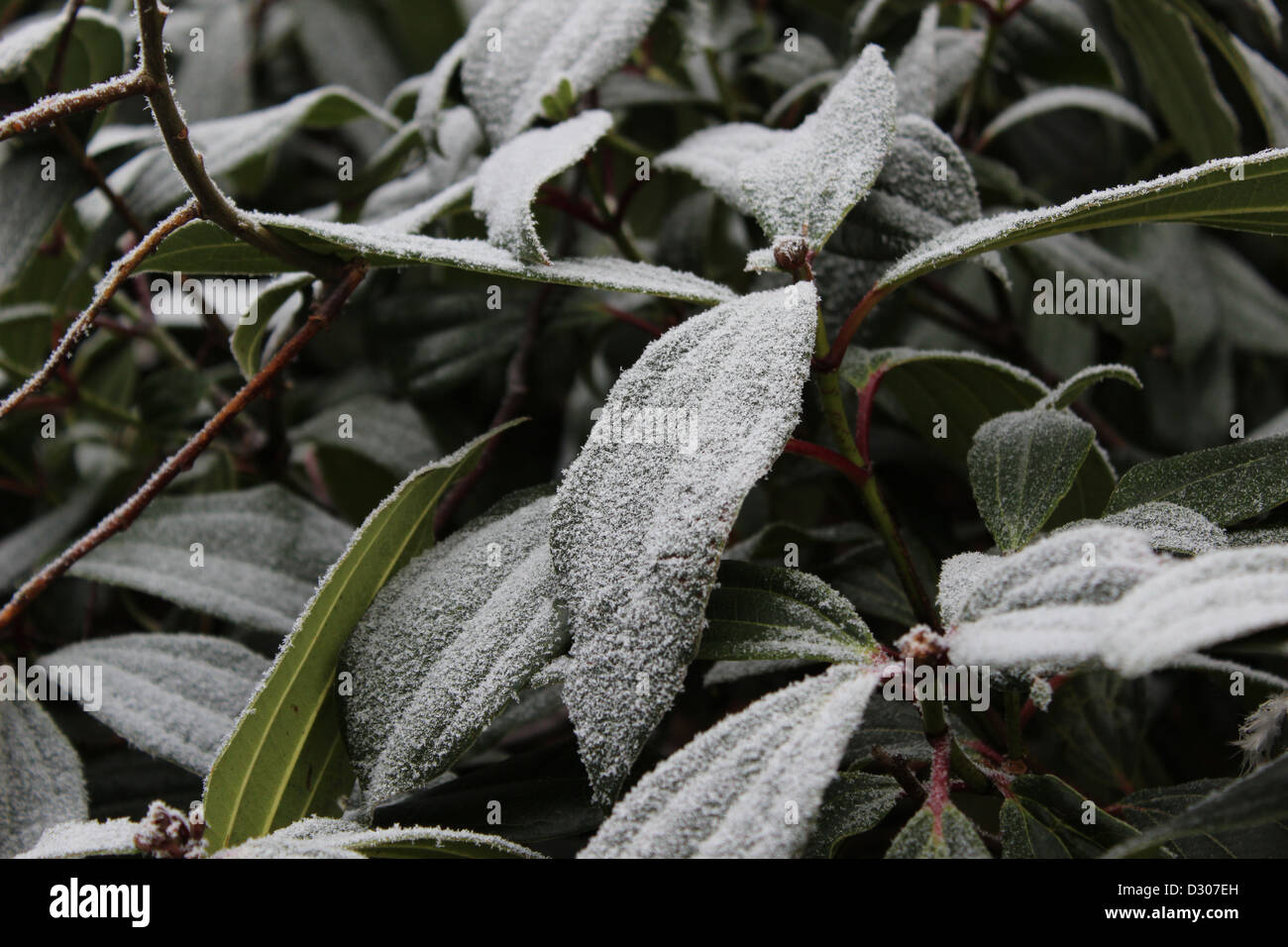 From nuneaton hi-res stock photography and images - Alamy