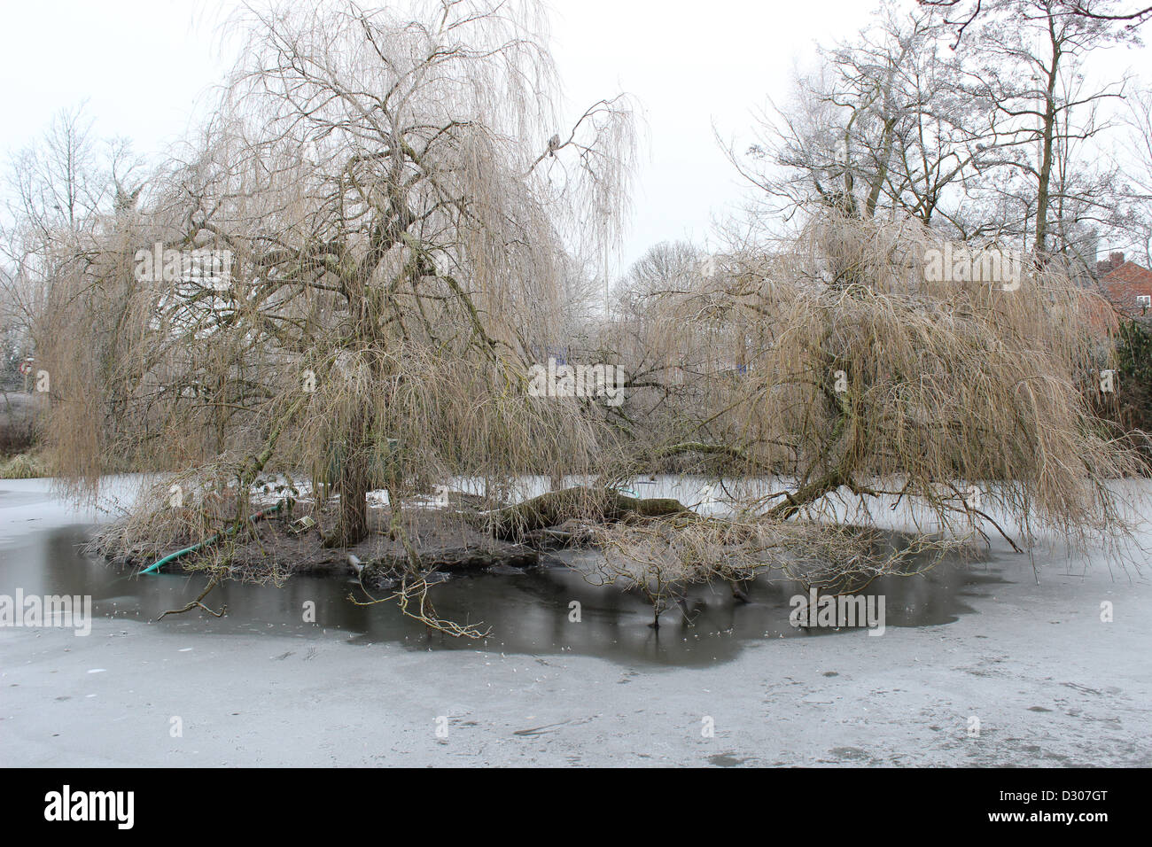 Mini island in the middle of a frozen lake Stock Photo - Alamy