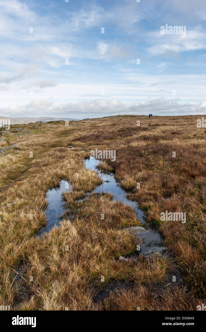 Llangynidr Moors in Powys, Wales Stock Photo - Alamy