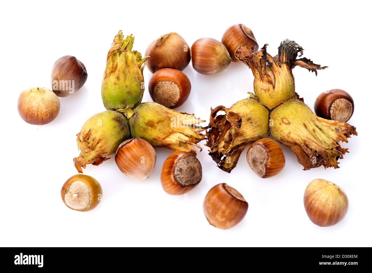 Pink seed pod Cut Out Stock Images & Pictures - Alamy