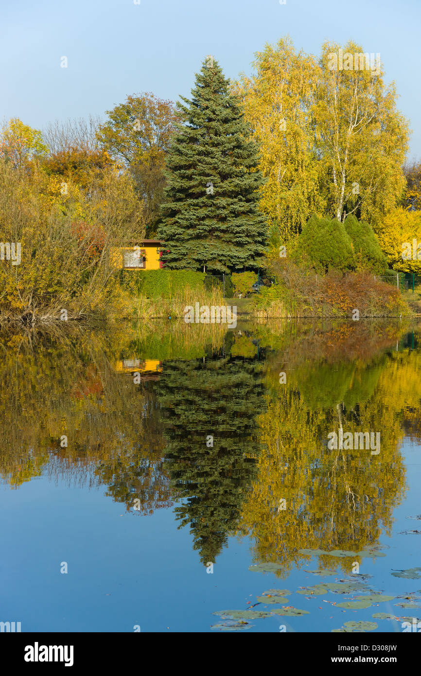 Autumn leaves around edge hi-res stock photography and images - Alamy