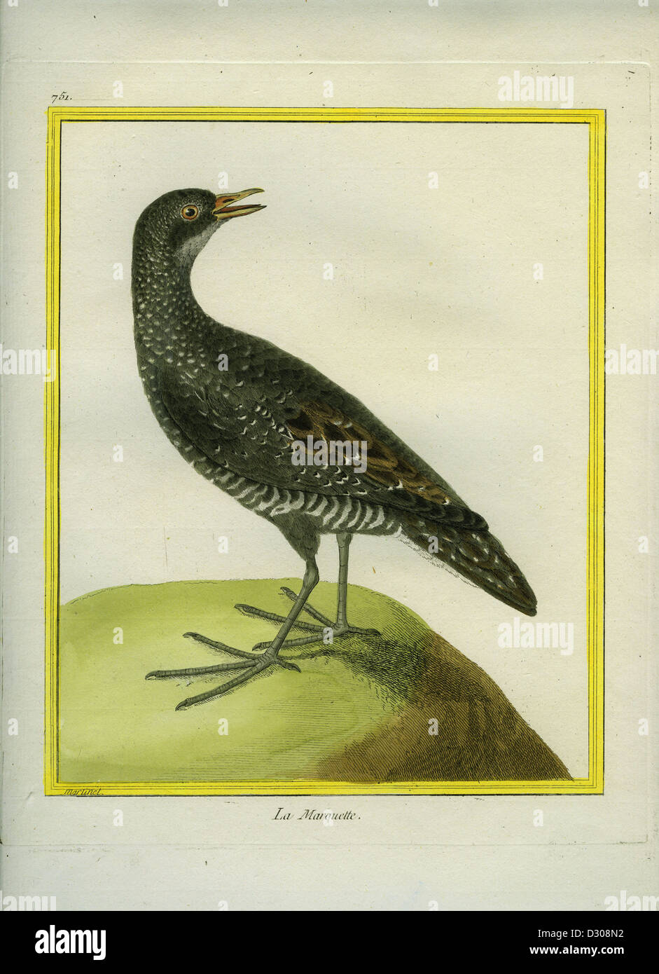 Sora hi-res stock photography and images - Alamy