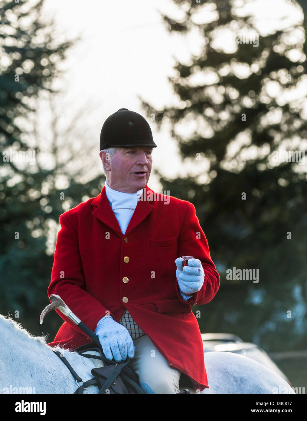 A huntsman at a fox hunting meet, UK Stock Photo - Alamy