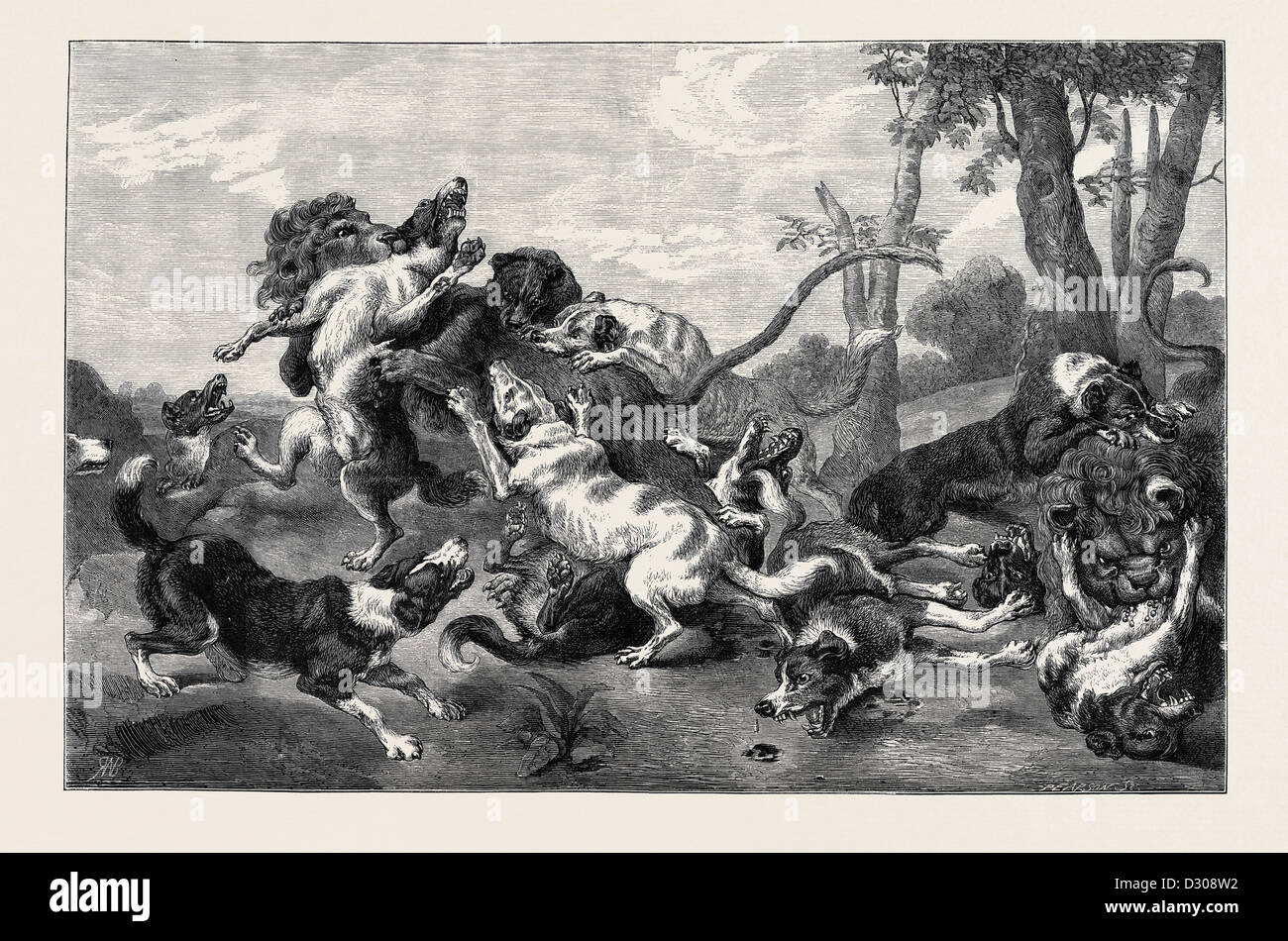 THE LION HUNT Stock Photo - Alamy