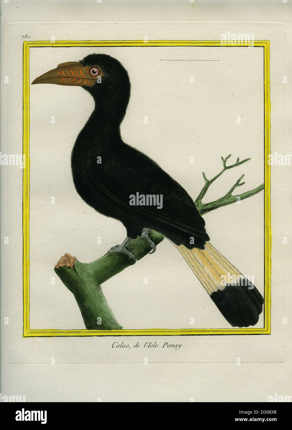 Tarictic hi-res stock photography and images - Alamy