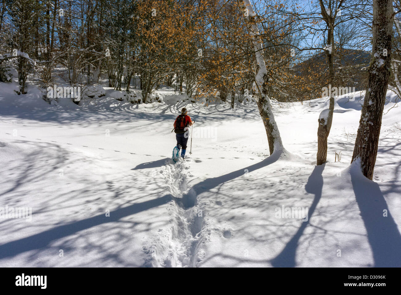 Trudging through snow hi-res stock photography and images - Alamy