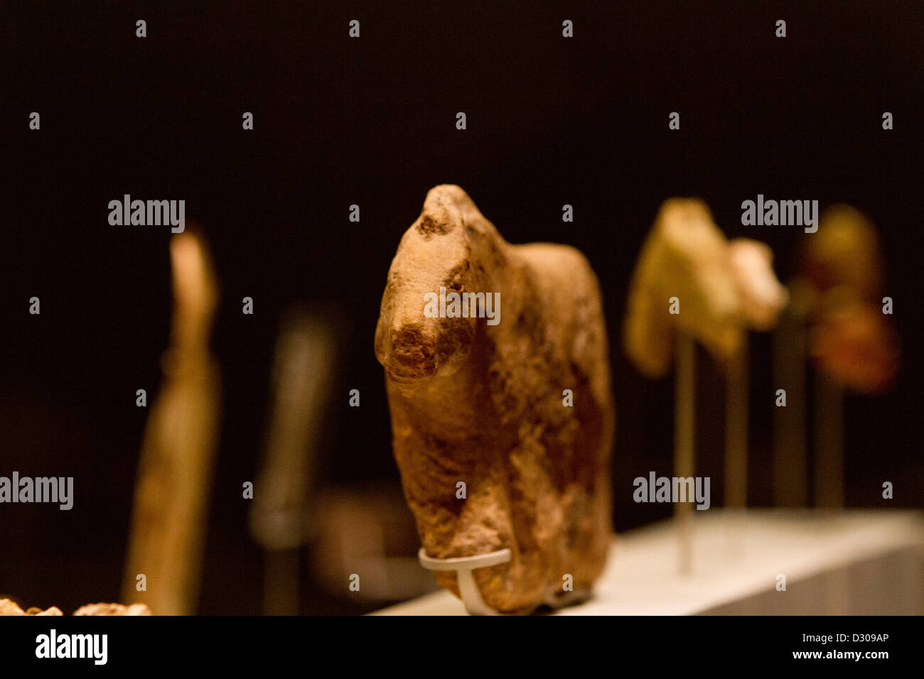 London UK .5th February 2013. Resting horse and two horse heads. Ice ...