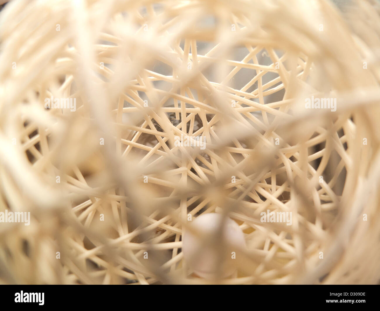 Plastic woven ball hi-res stock photography and images - Alamy