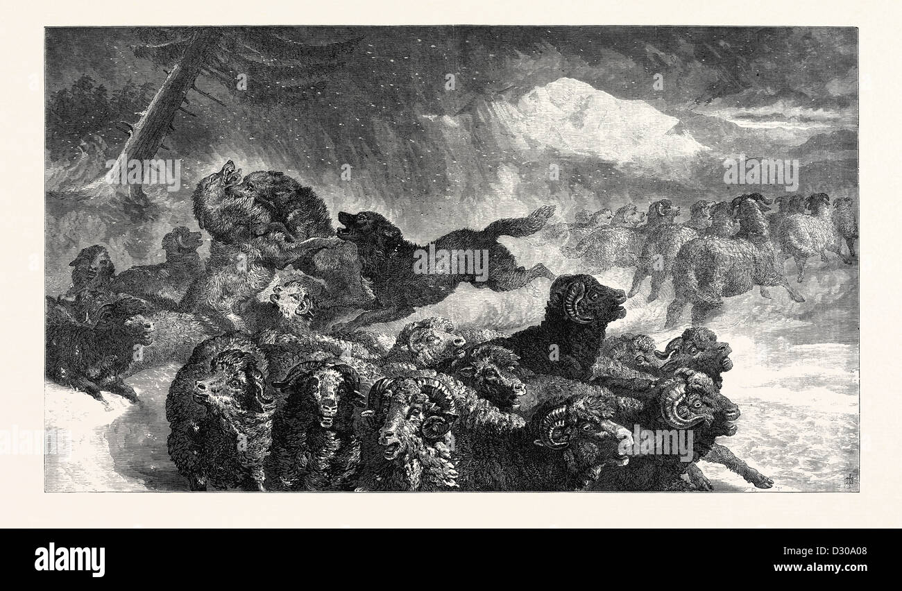 Royal carter hi-res stock photography and images - Alamy