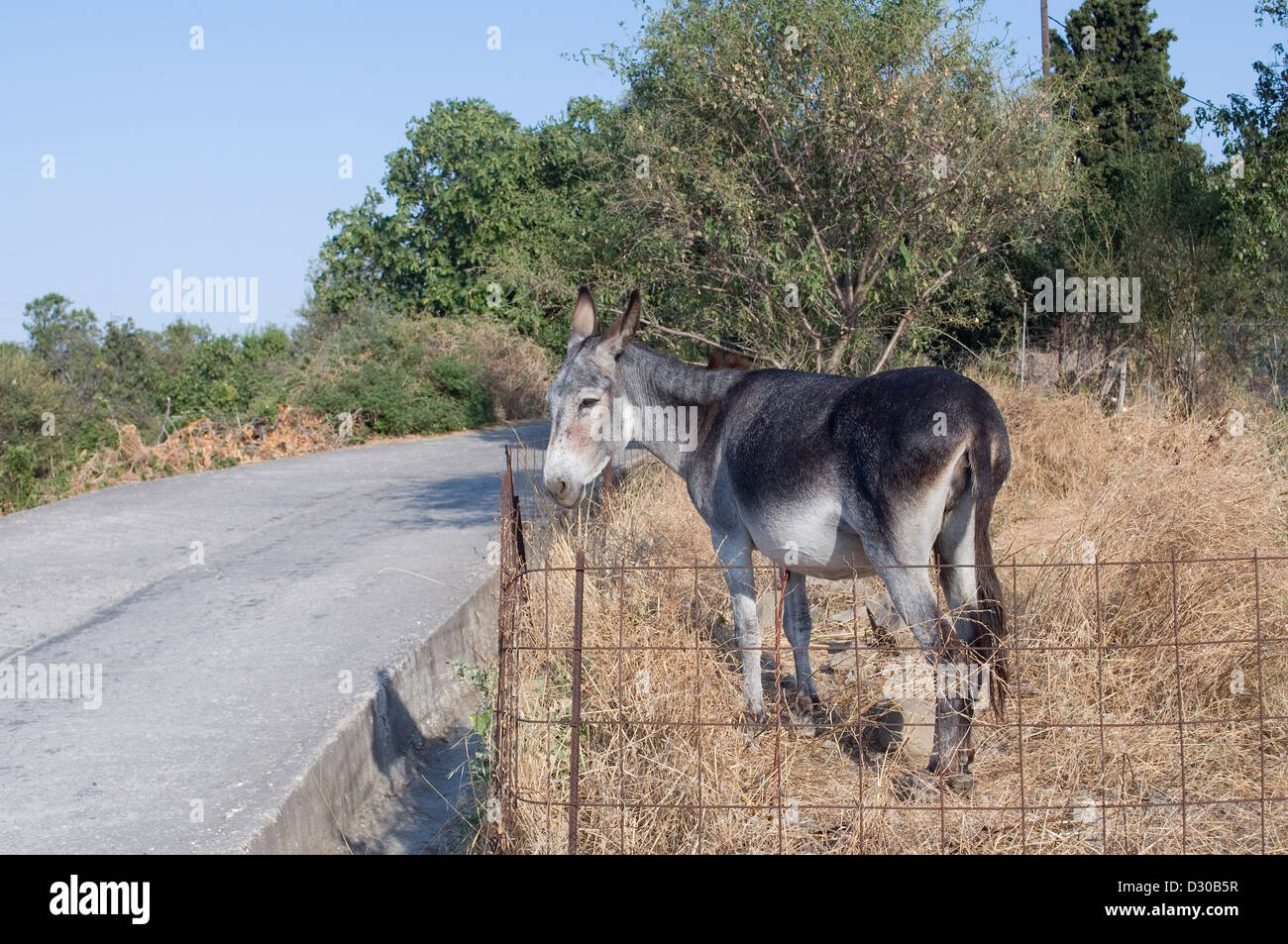 Greek farm hi-res stock photography and images - Alamy